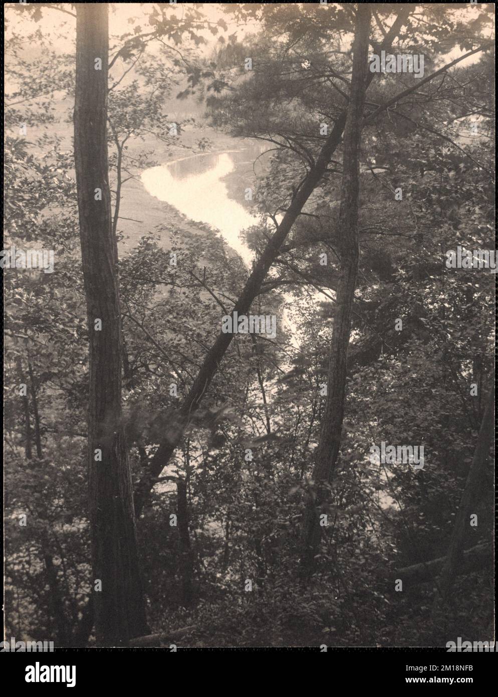 Sudbury River from canal bridge , Rivers, Trees. Wayland Free Public ...