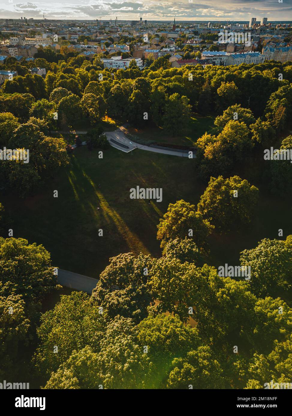 A pedestrian path in the city park with green plants Stock Photo - Alamy