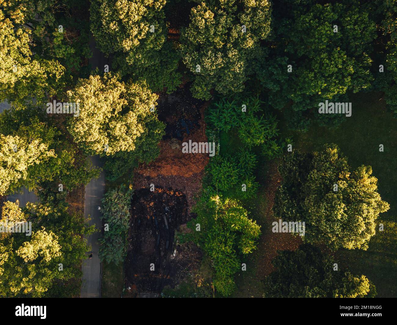 A pedestrian path in the city park with green plants Stock Photo - Alamy