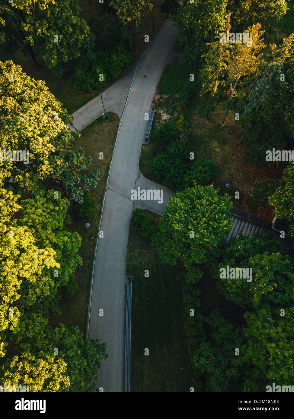 A pedestrian path in the city park with green plants Stock Photo - Alamy