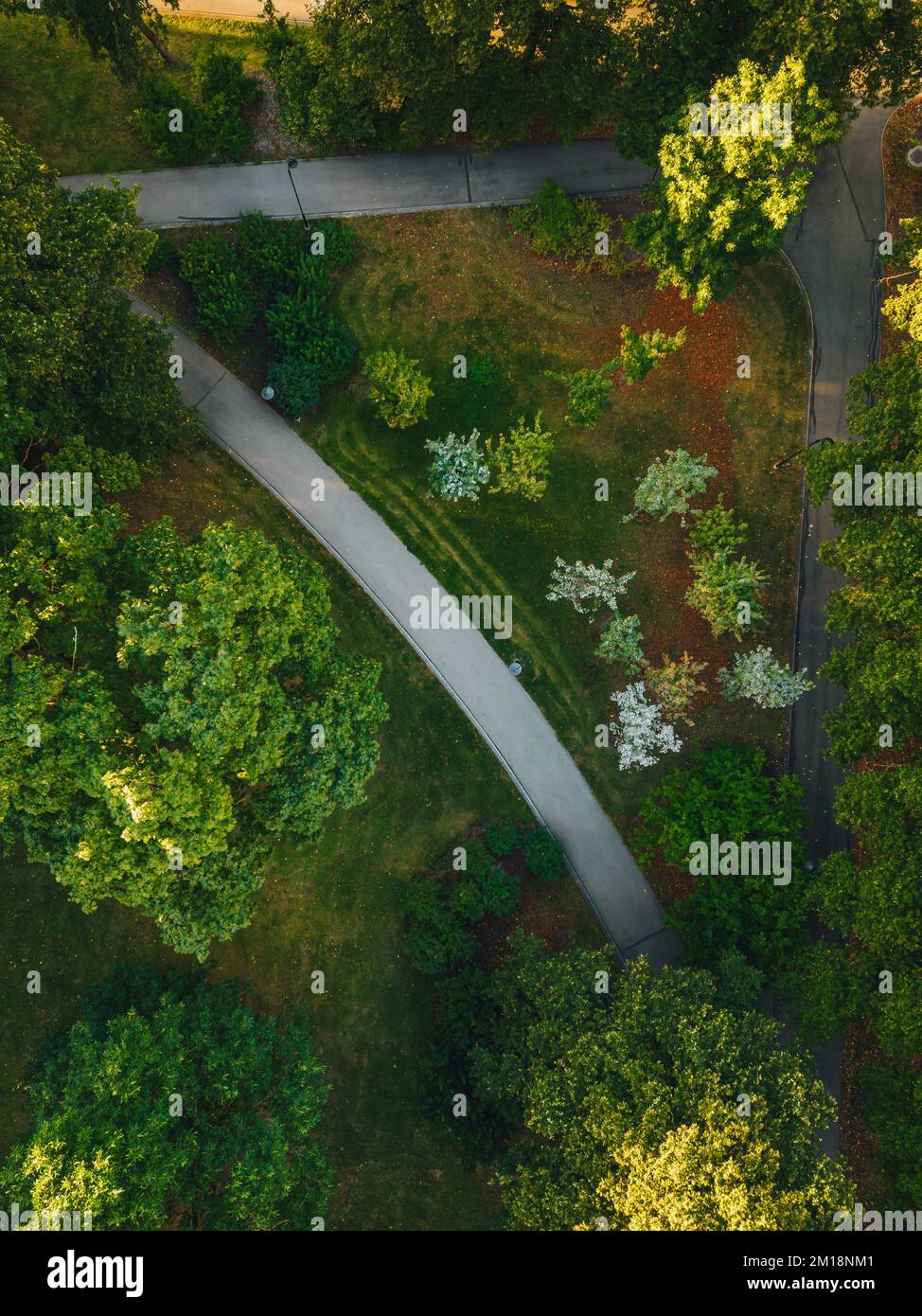 A pedestrian path in the city park with green plants Stock Photo - Alamy