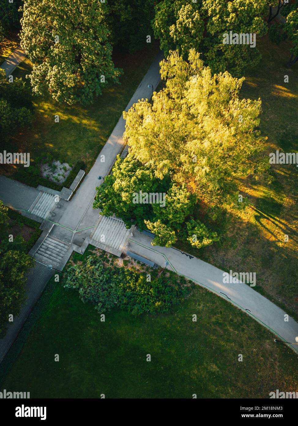 A pedestrian path in the city park with green plants Stock Photo - Alamy