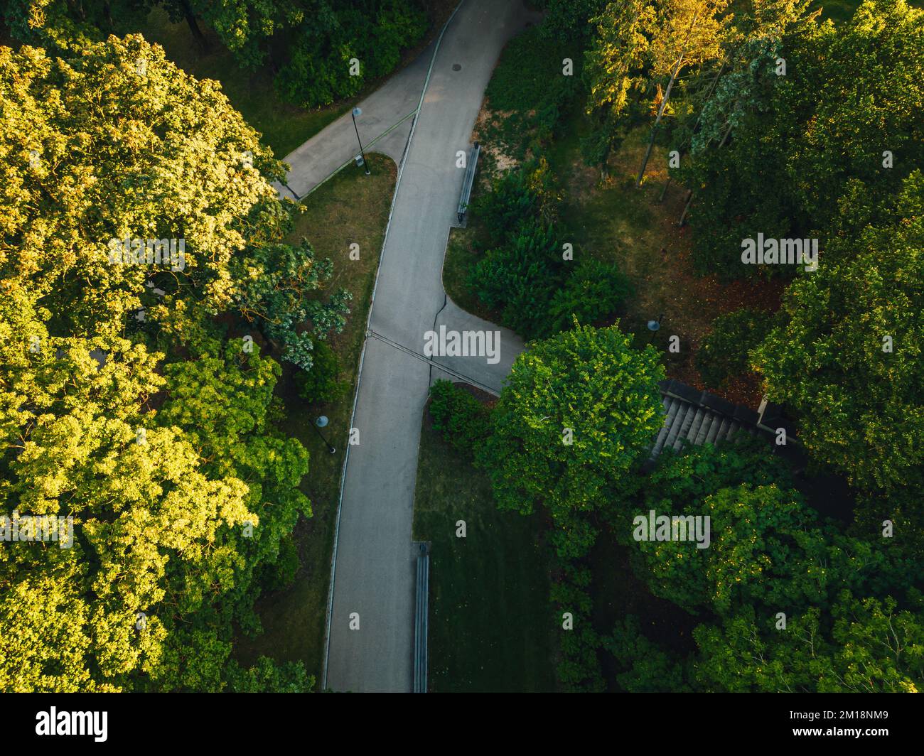 A pedestrian path in the city park with green plants Stock Photo - Alamy