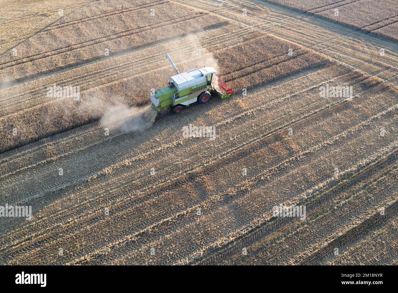 Combine harvester harvesting crops during sunset in Scotland Stock ...