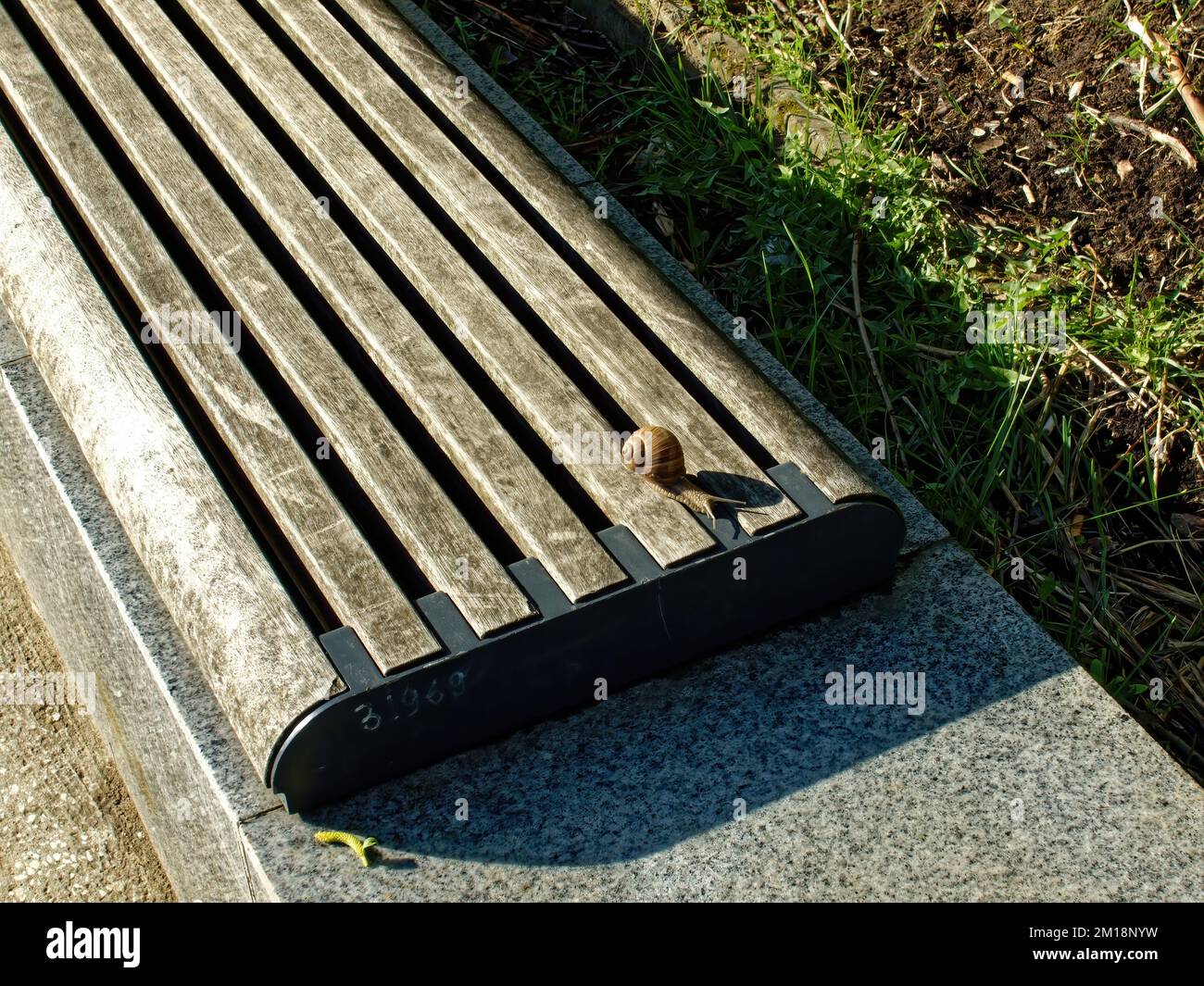 Snail on bench hi-res stock photography and images - Alamy