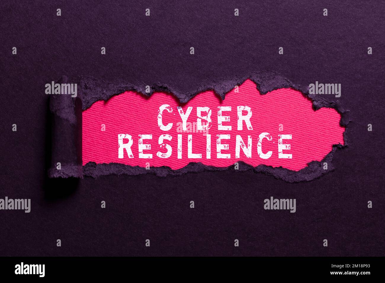 Inspiration showing sign Cyber Resilience. Business concept measure of ...