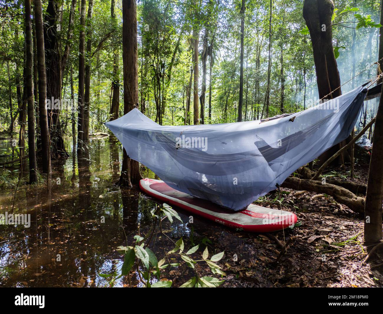 Jungle, Brazil - Dec 2019: Camp with hammocks in the amazon jungle ...