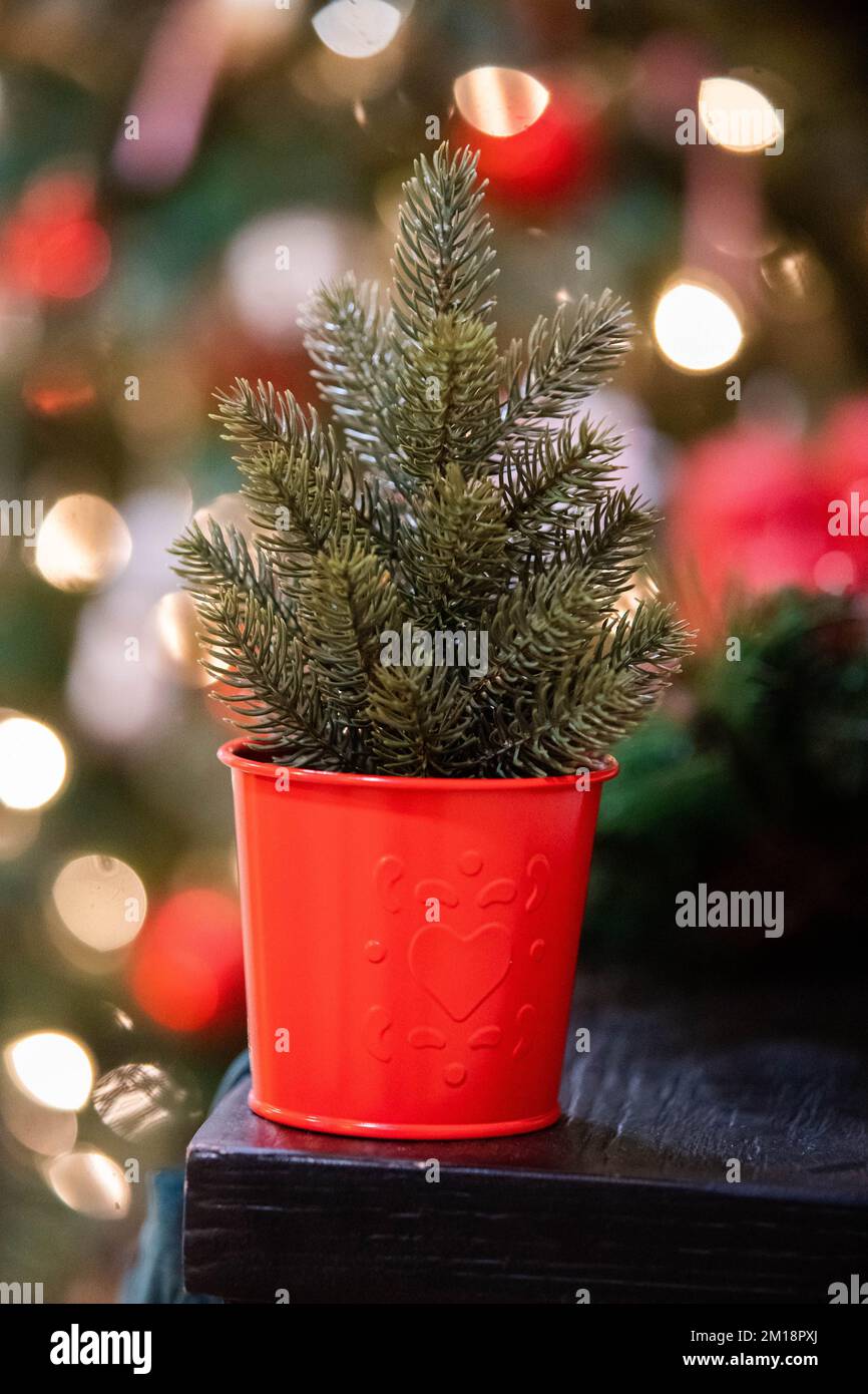 A vertical shot of a small fir tree potted in a red bucket with bokeh ...