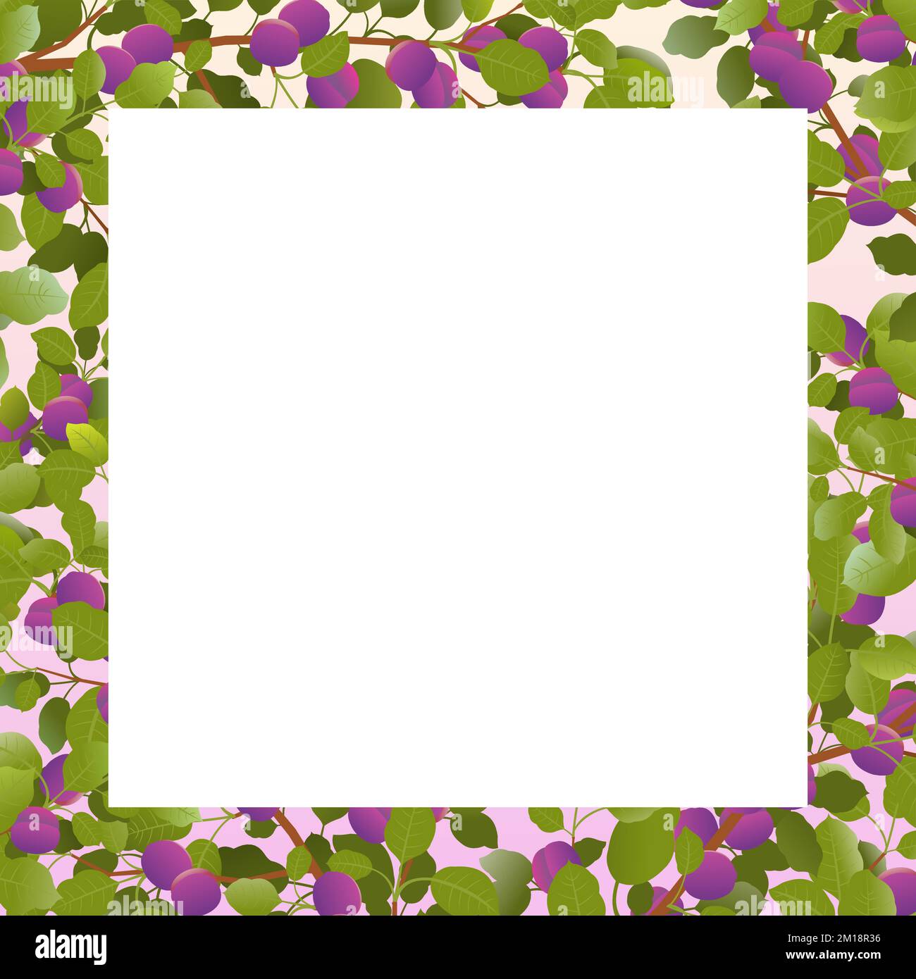 Tree branch frame plum with ripe fruits. Garden plant with edible ...