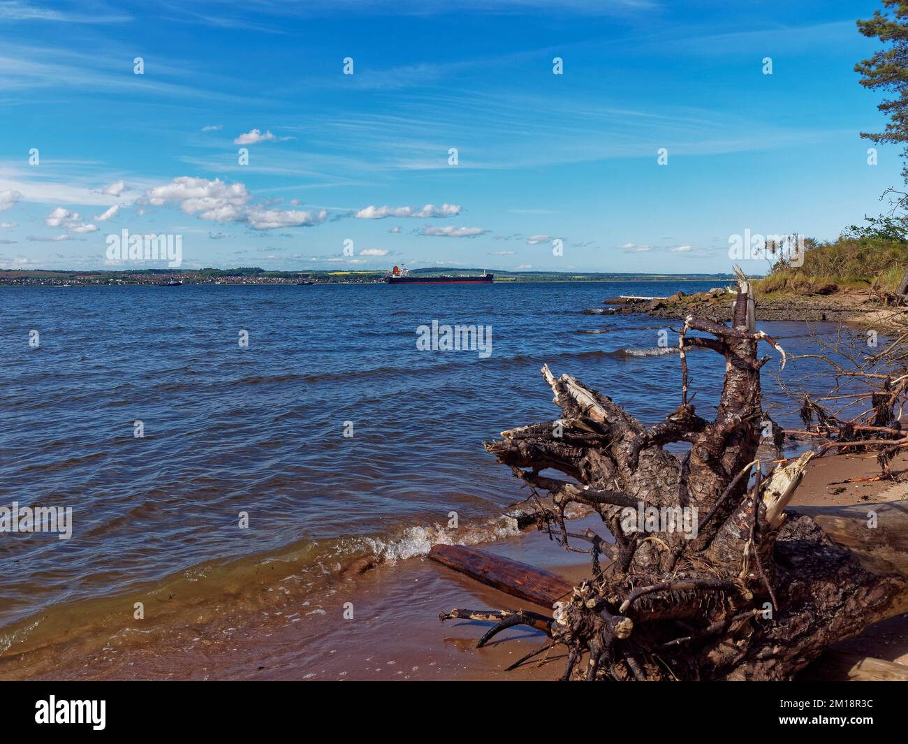The Asphalt Splendor followed by the Dundee Port Pilot Boat heading out ...