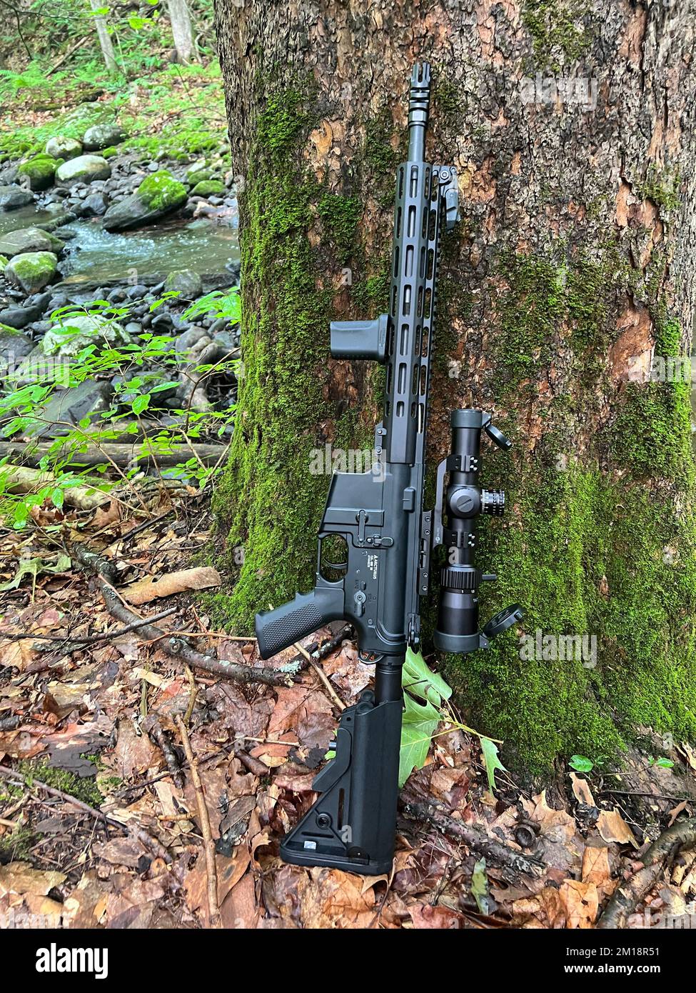 A vertical shot of a black rifle with a scope leaned against a mossy ...