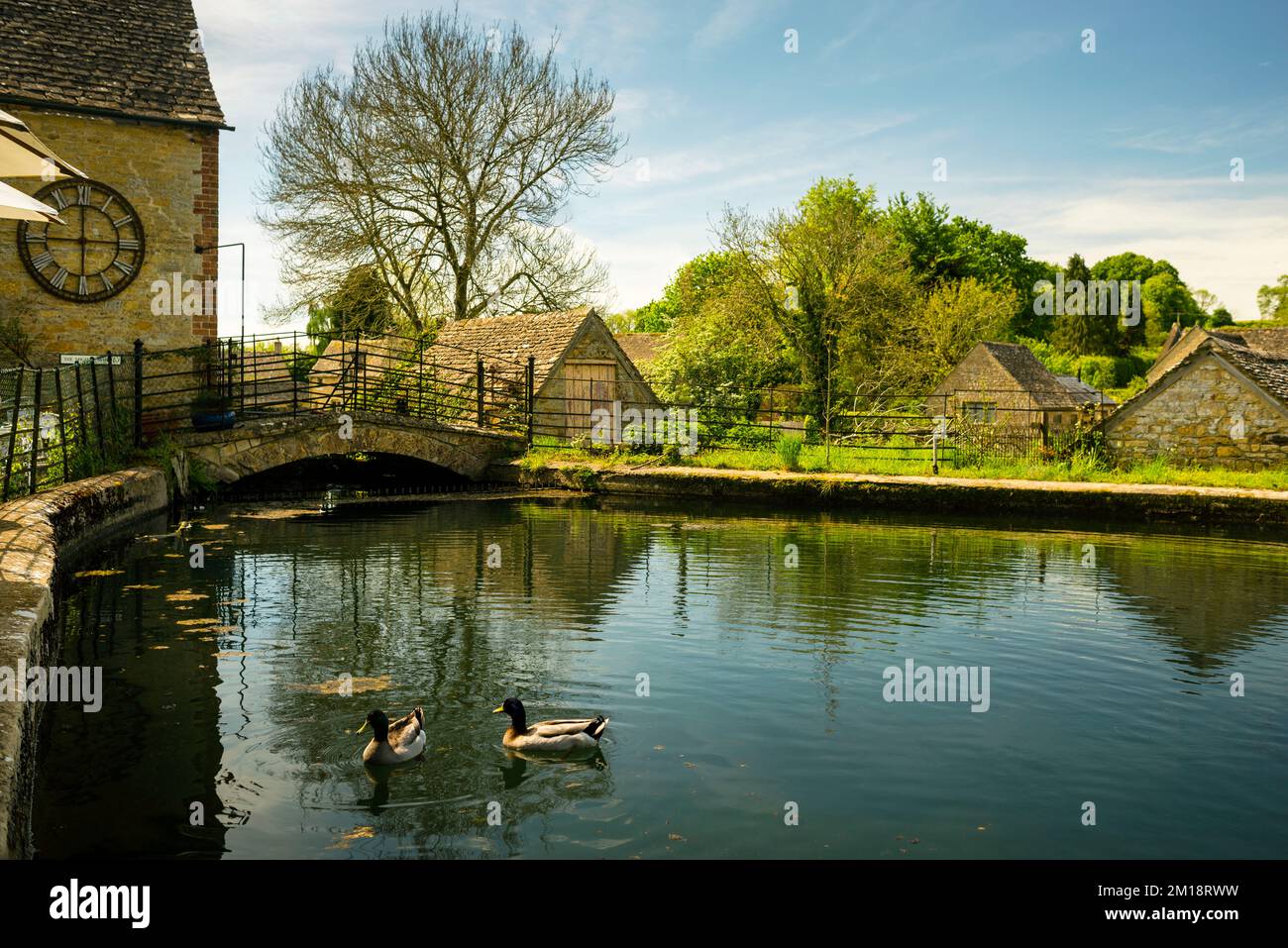 Old pond over little river hi-res stock photography and images - Alamy