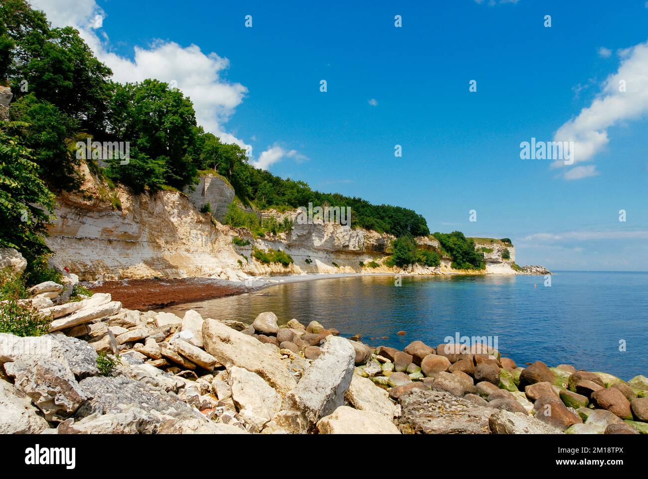 Stevns Cliff at the baltic sea in Denmark Stock Photo - Alamy