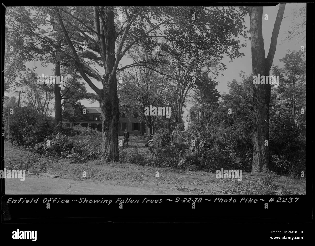 Swift River, flood photo, Enfield office, showing fallen trees, Enfield ...