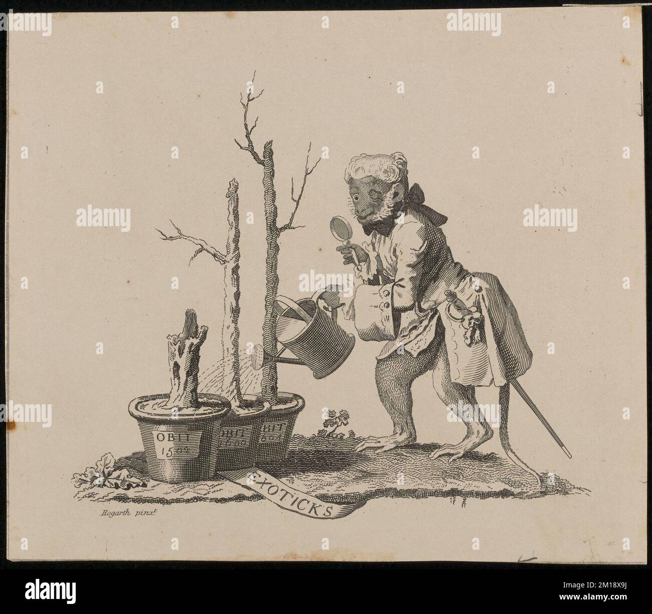 Tailpiece to the catalogue , Animals in human situations, Monkeys ...