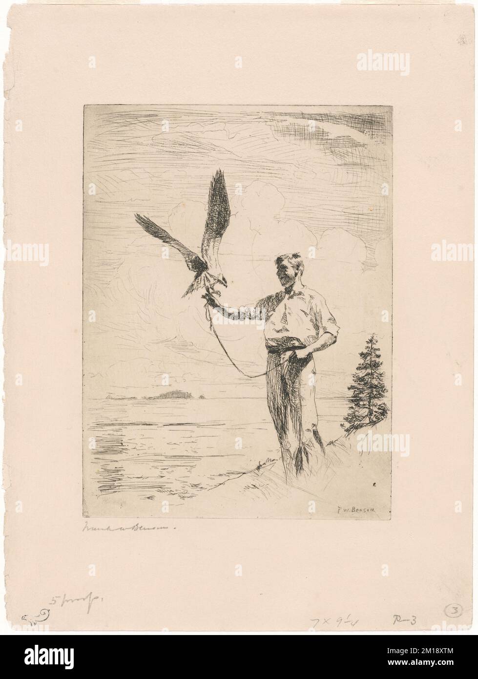 Tame fish hawk , Ospreys, Trained animals, Bodies of water, Clouds ...