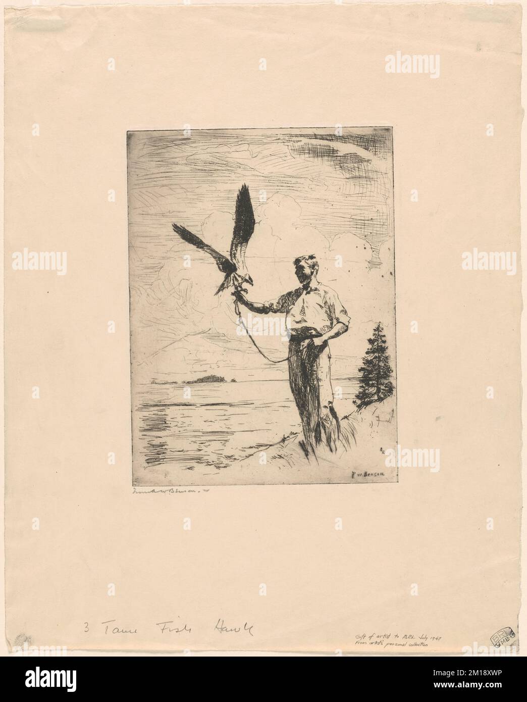 Tame fish hawk , Ospreys, Trained animals, Bodies of water, Clouds ...