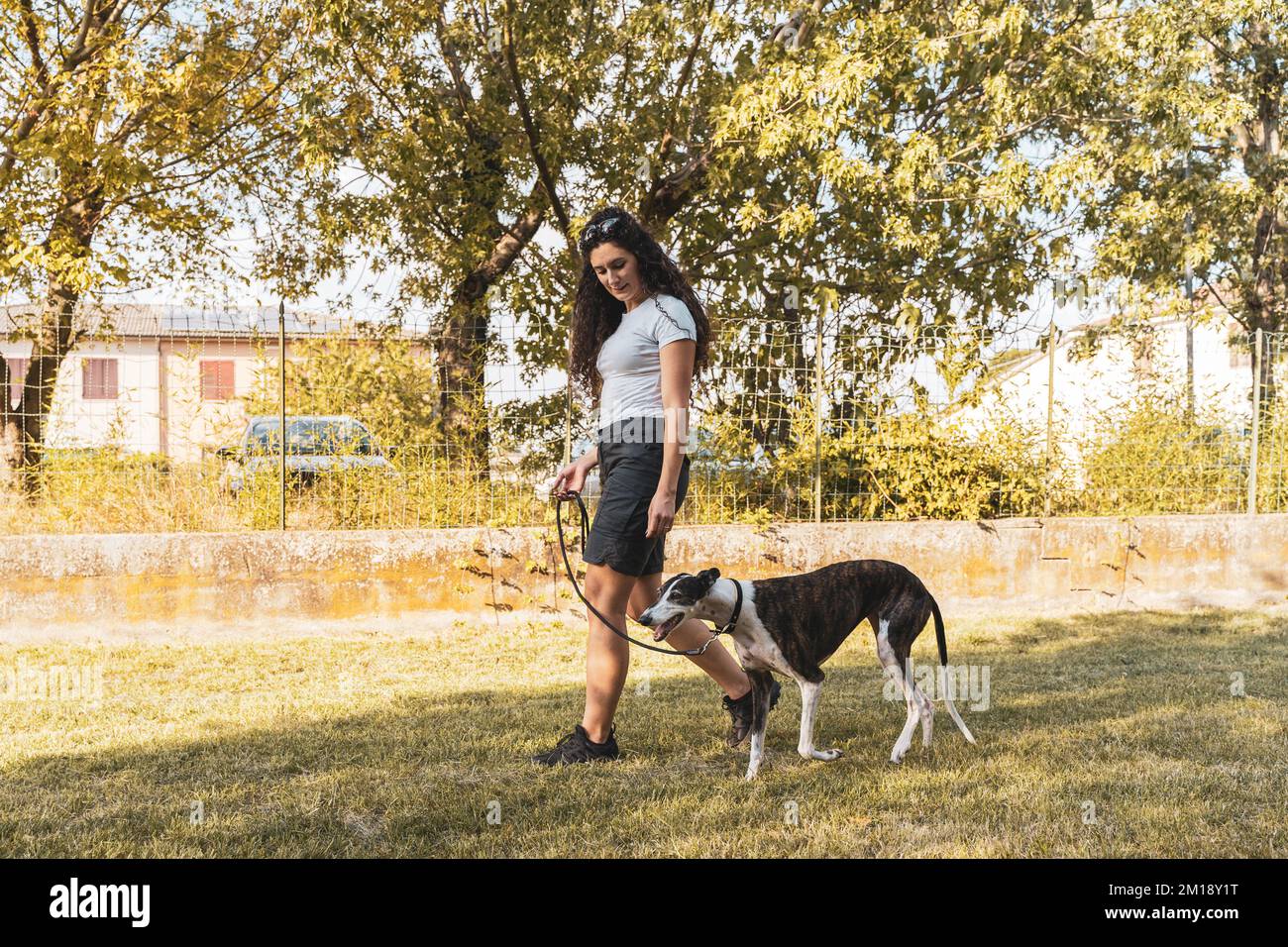 beautiful female dog trainer is training her dog in an outdoor park ...