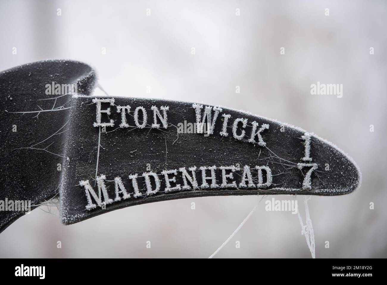 Eton, Windsor, Berkshire, UK. 11th December, 2022. Cobwebs hang from a ...