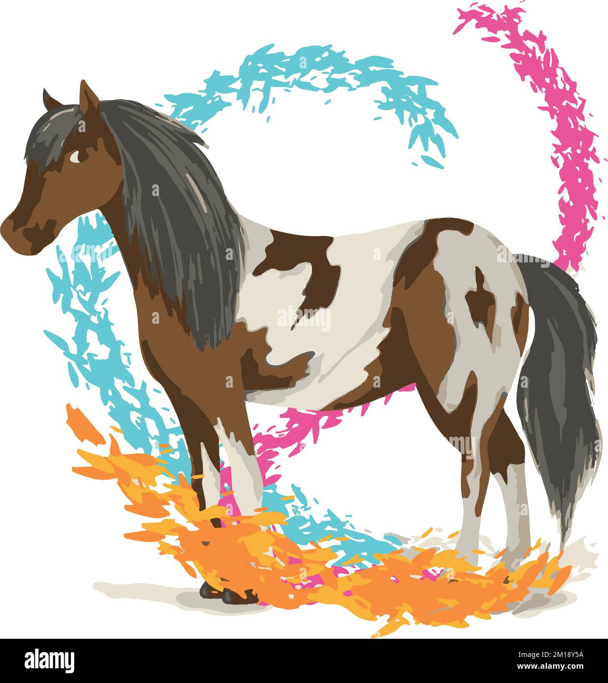 Pinto mare Stock Vector Images - Alamy