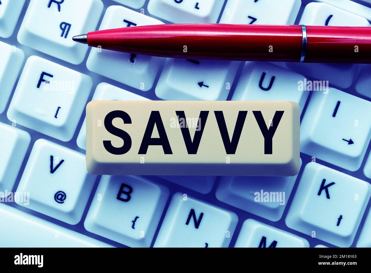 Inspiration showing sign Savvy. Business idea having perception ...