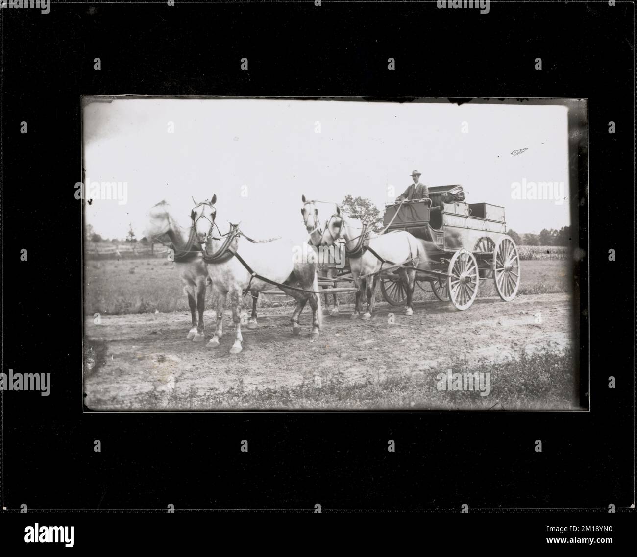 Team of Horses, Carriage, Man , Animals. Messenger Collection Stock ...