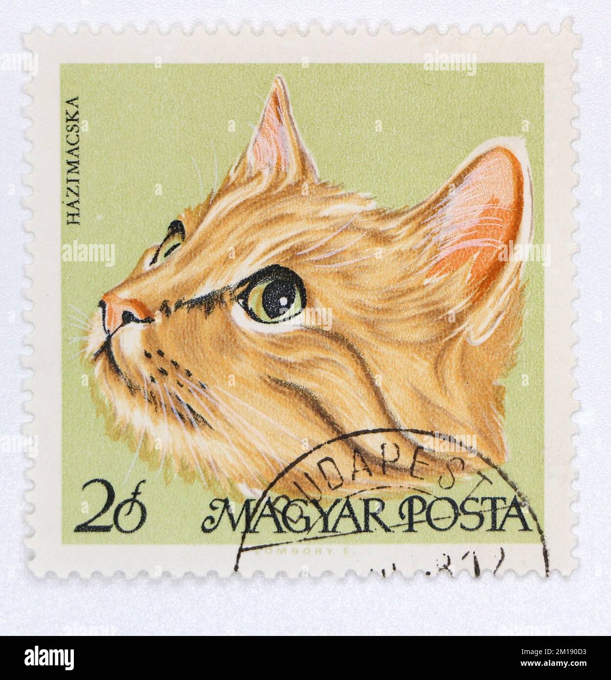 Photo of a postage stamp from Hungary European Shorthair Felis ...