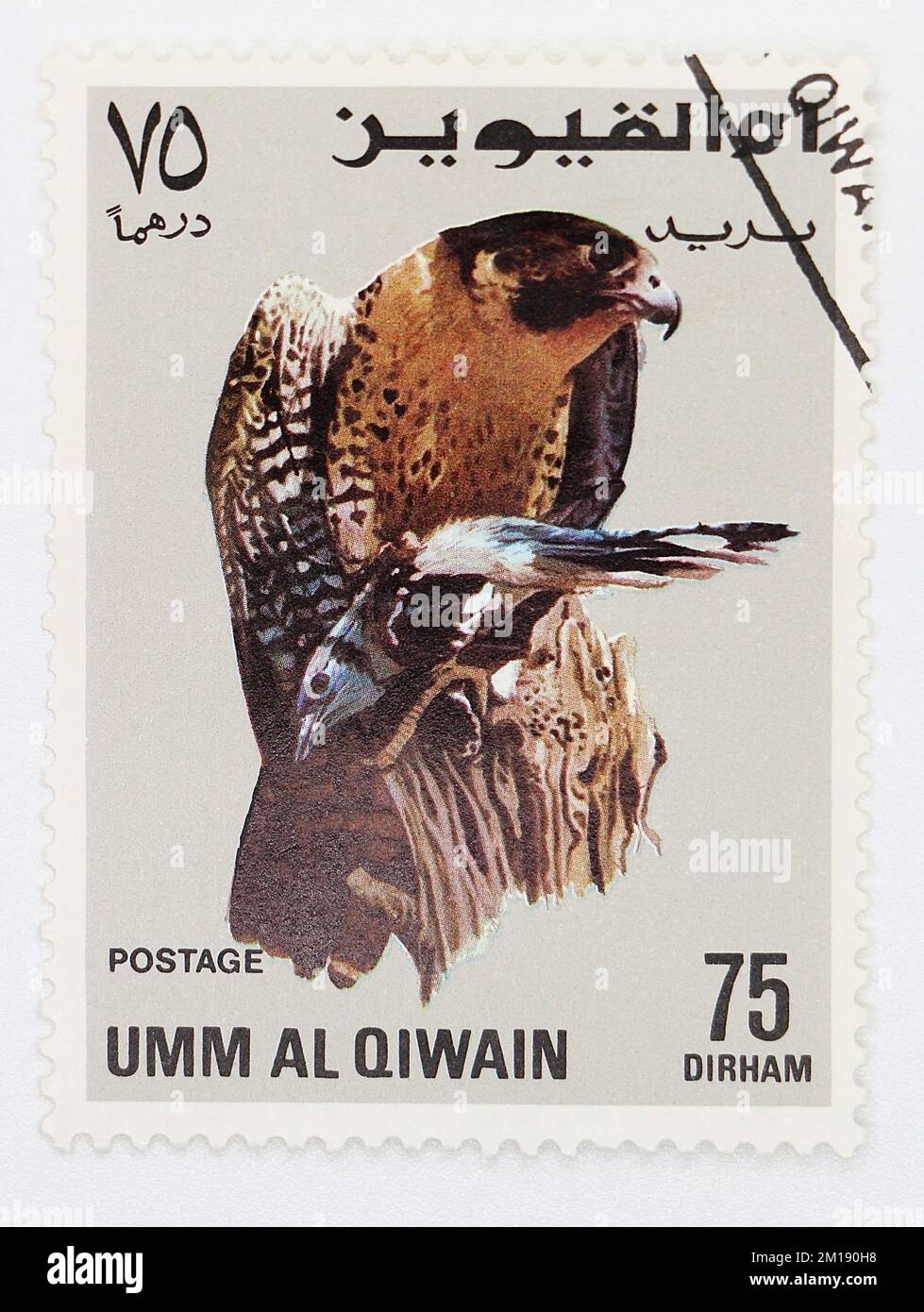 75 qatari dirham hi-res stock photography and images - Alamy