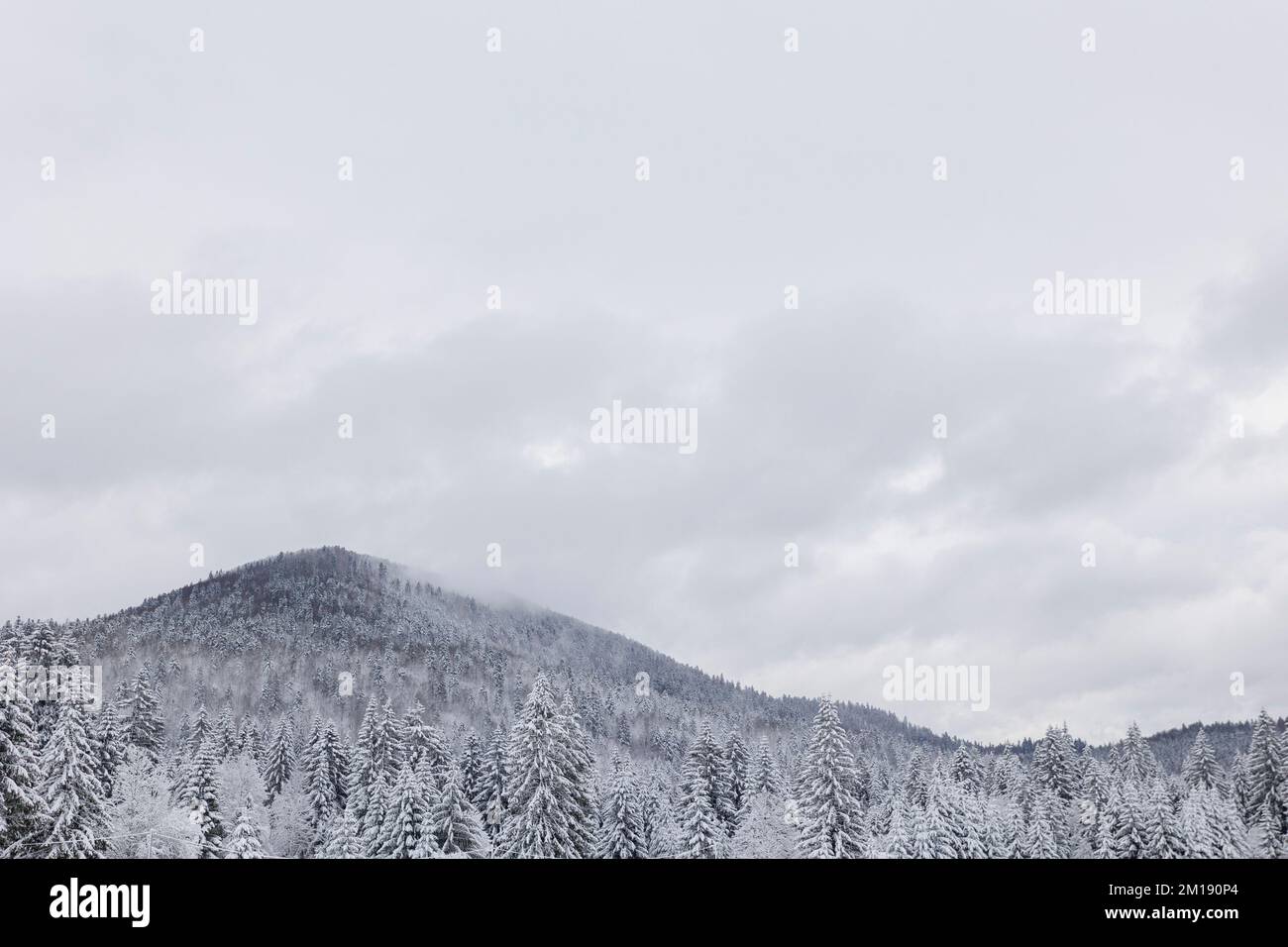 Croatia. 11th Dec, 2022. Snow covered Gorski Kotar, in Croatia, on Dec ...