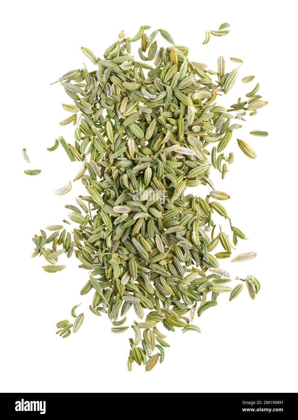 Fennel seeds isolated on white background. Green fennel grains. Spices ...