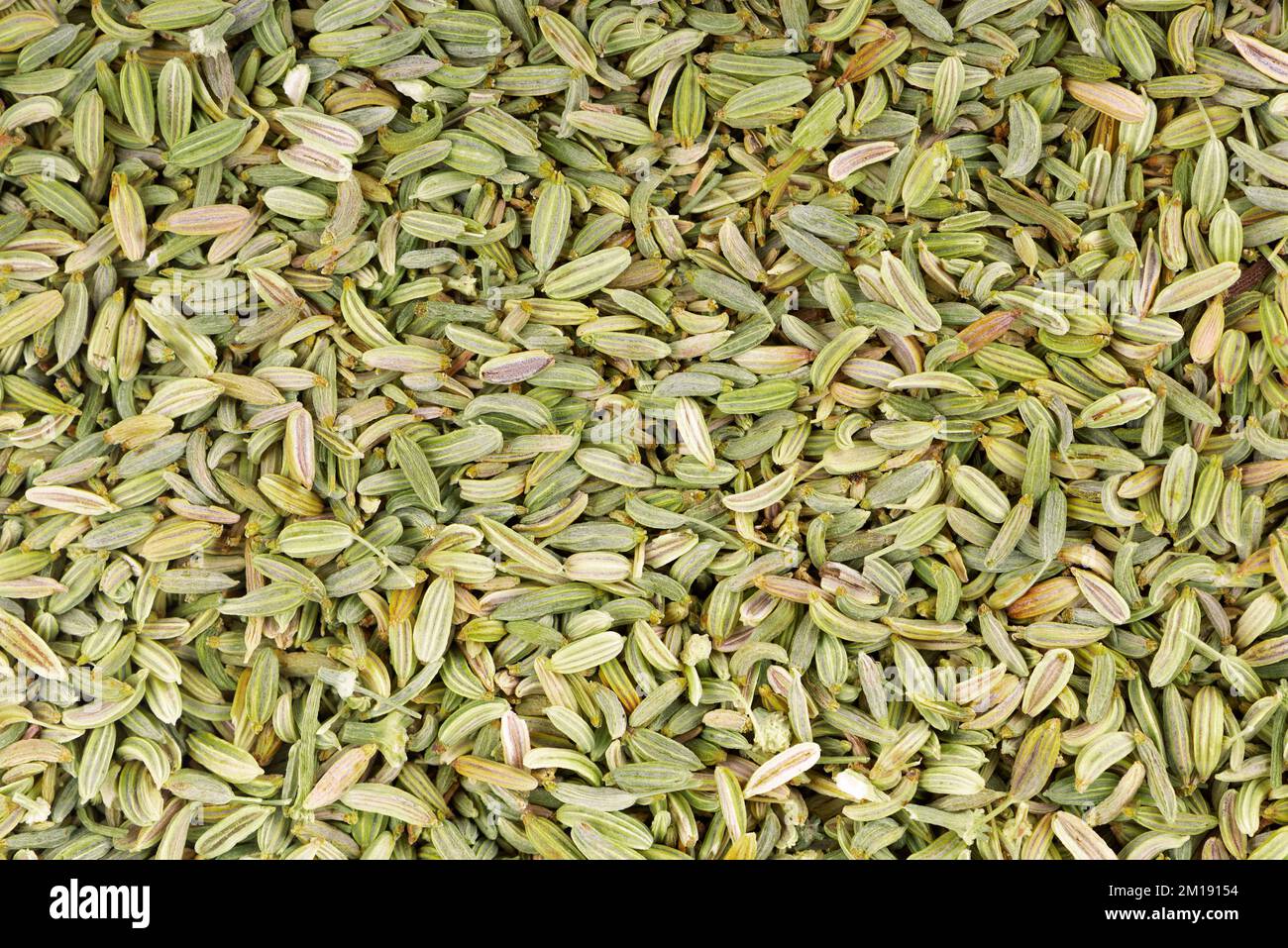 Fennel seeds background. Green fennel grains. Spices and herbs. Top ...