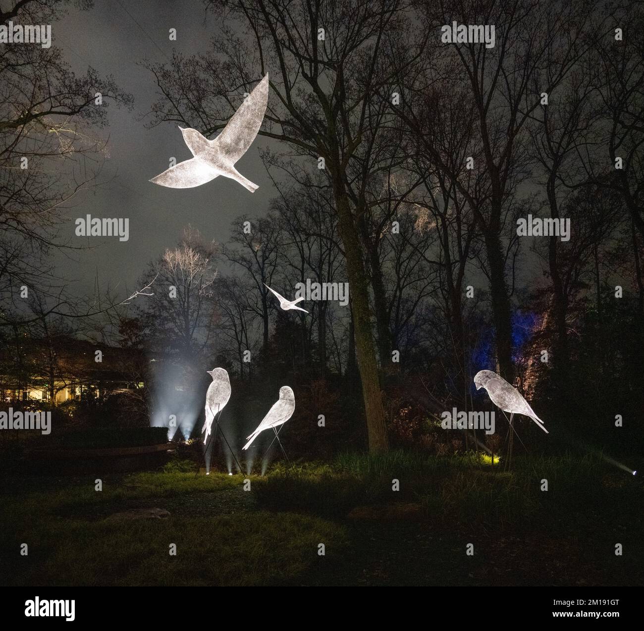 An art piece consisting of white doves at night Stock Photo - Alamy