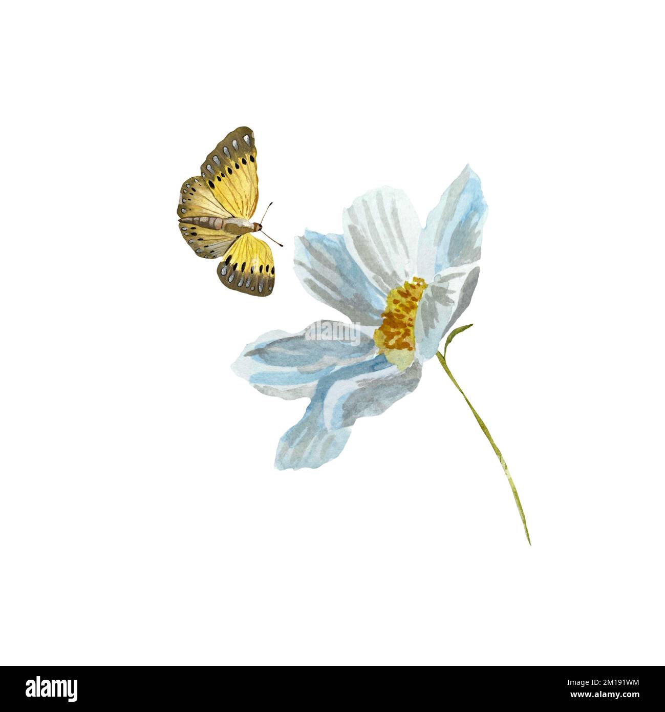 Drawing butterfly ladybug hi-res stock photography and images - Alamy