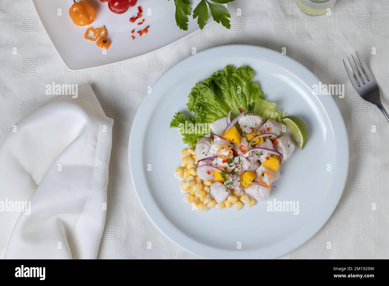 Top view of Ceviche, typical seafood of Peruvian cuisine Stock Photo ...
