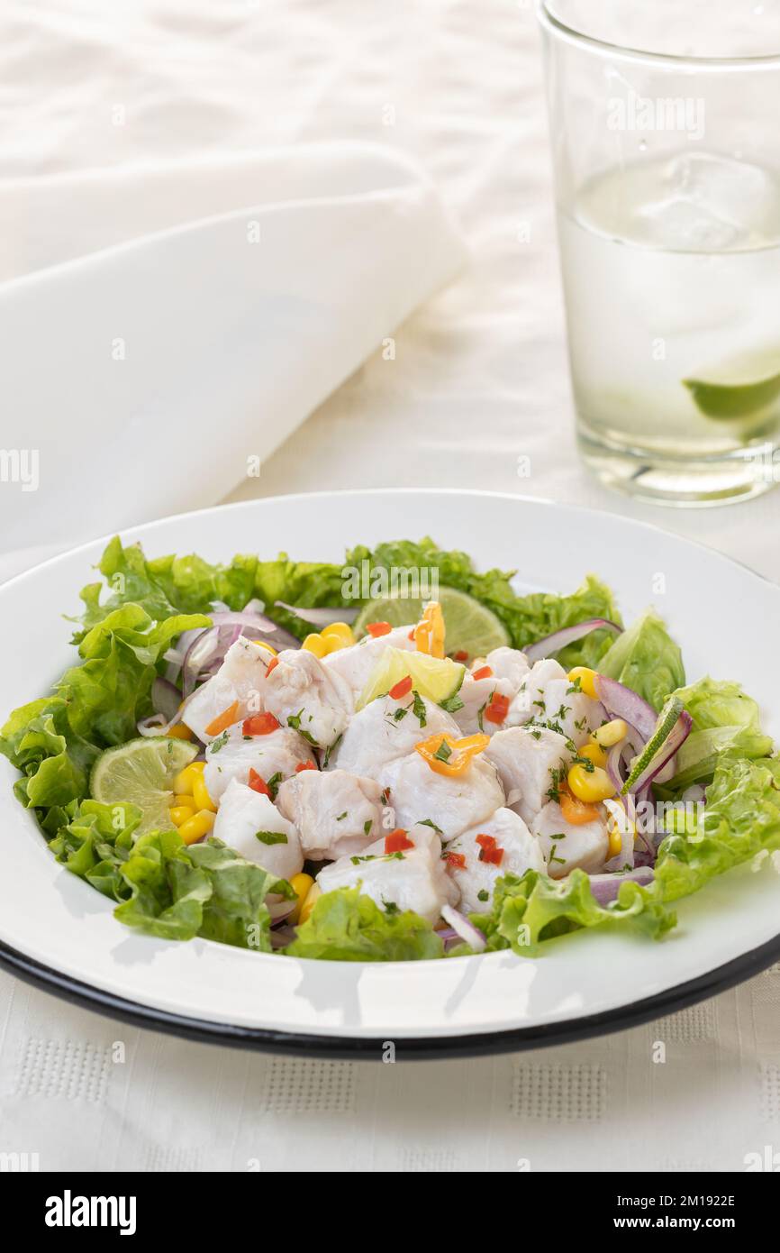 Ceviche, typical fish-based dish of Peruvian cuisine on light ...