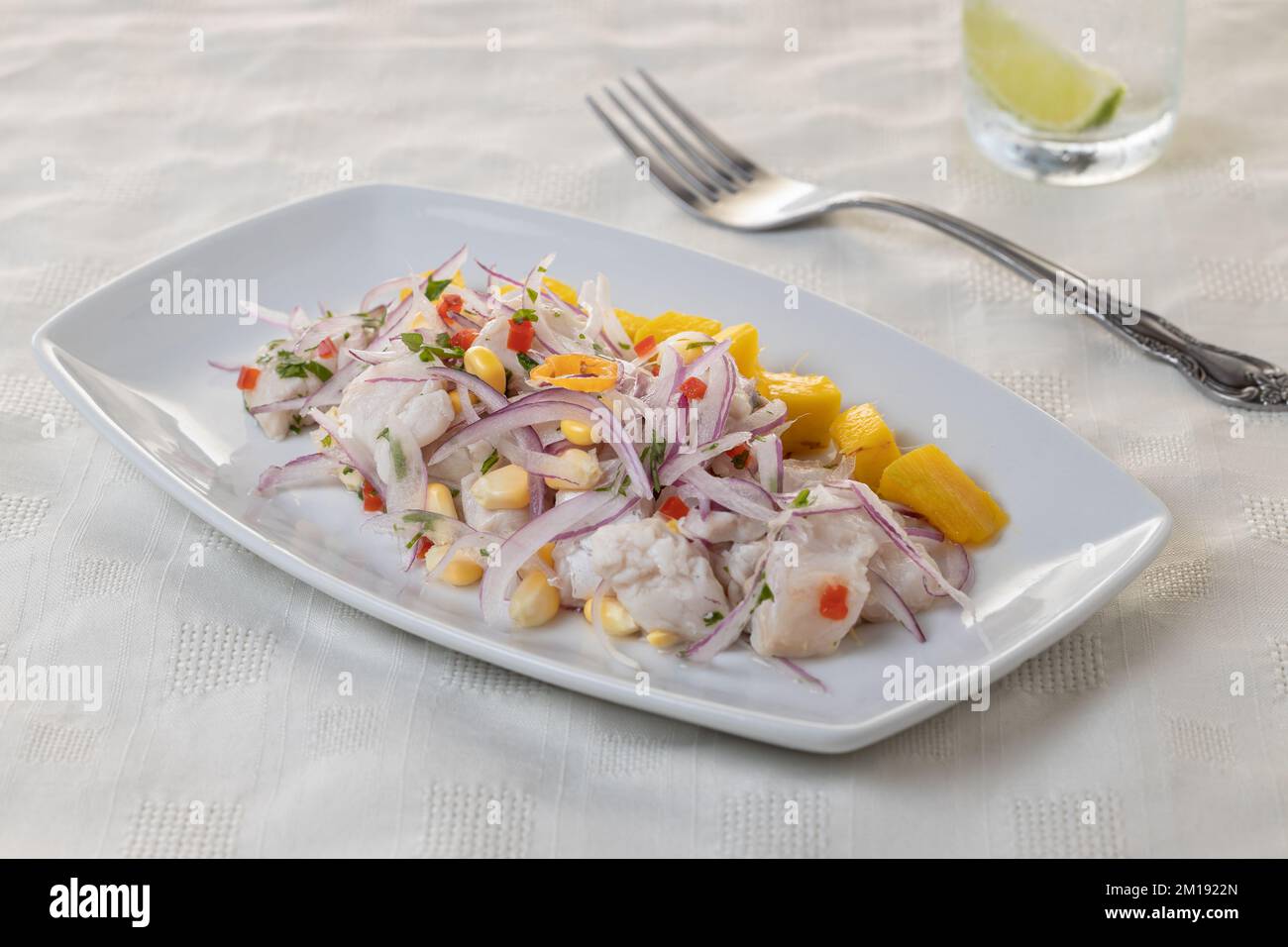 Ceviche, typical fish-based dish of Peruvian cuisine, presented in a ...