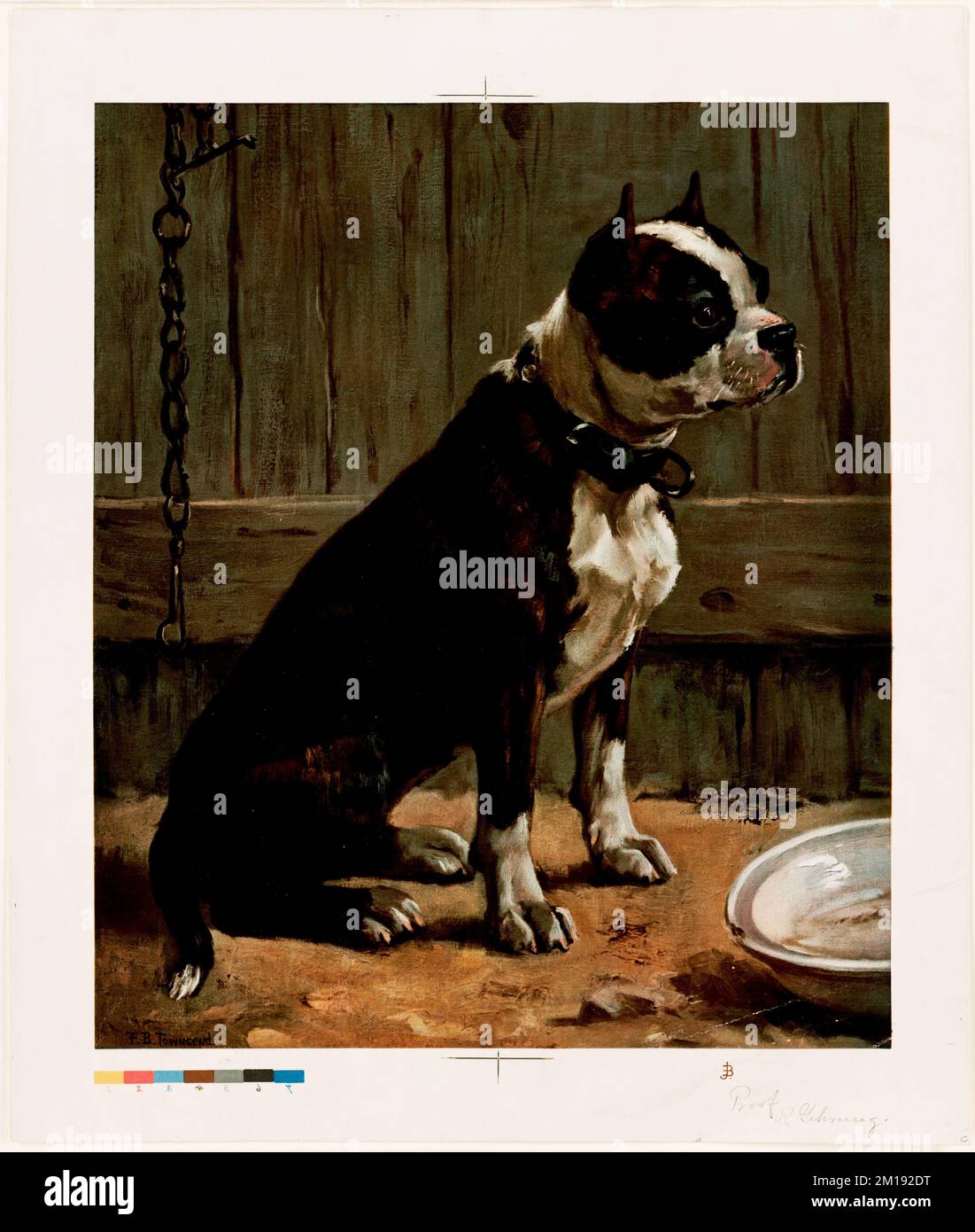 Terrier seated , Dogs. Louis Prang & Company Collection Stock Photo - Alamy