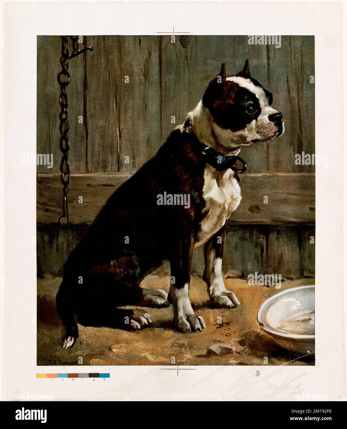 Louis terrier hi-res stock photography and images - Alamy