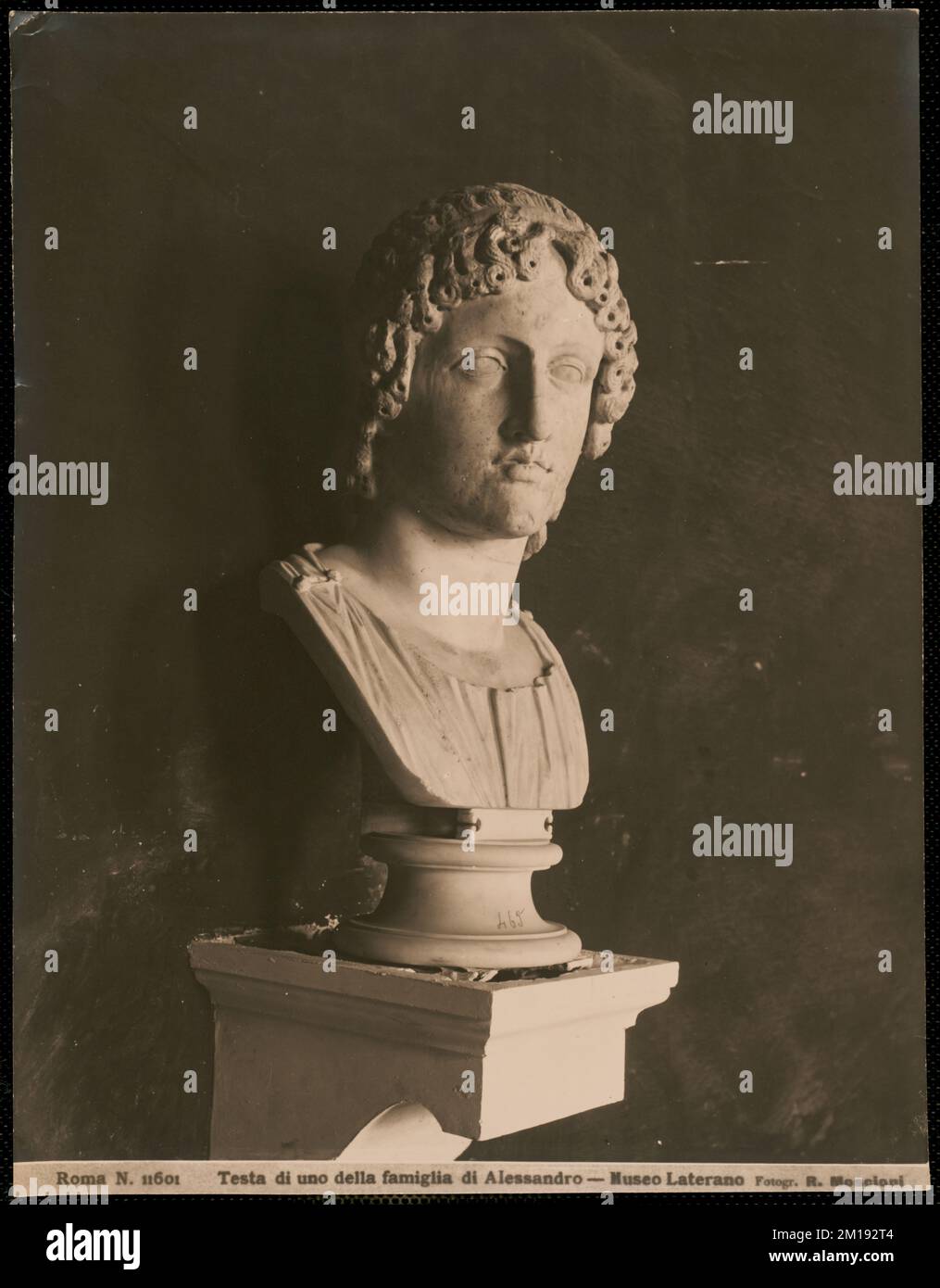 Testa di famiglia hi-res stock photography and images - Alamy