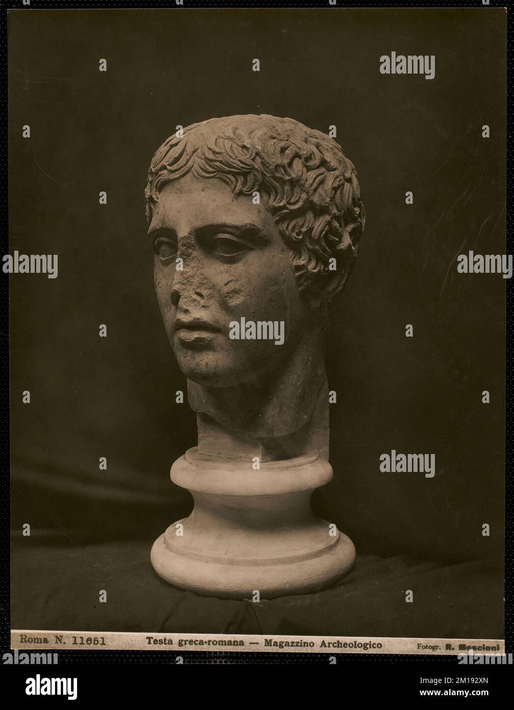 Testa romana hi-res stock photography and images - Alamy