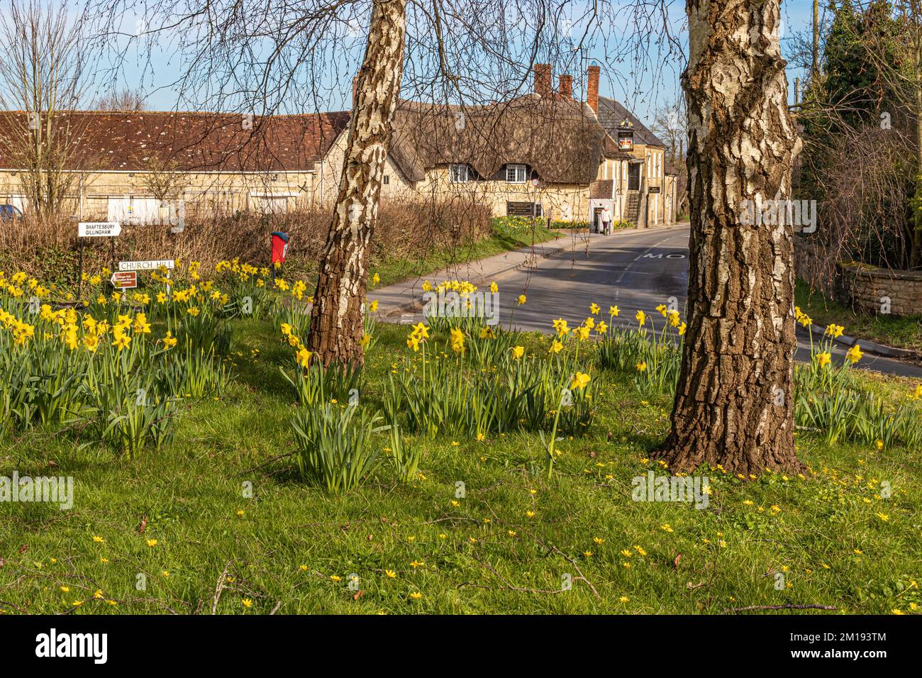 The Crown Inn Pub in Marnhull, Dorset made famous in Tess of the D ...