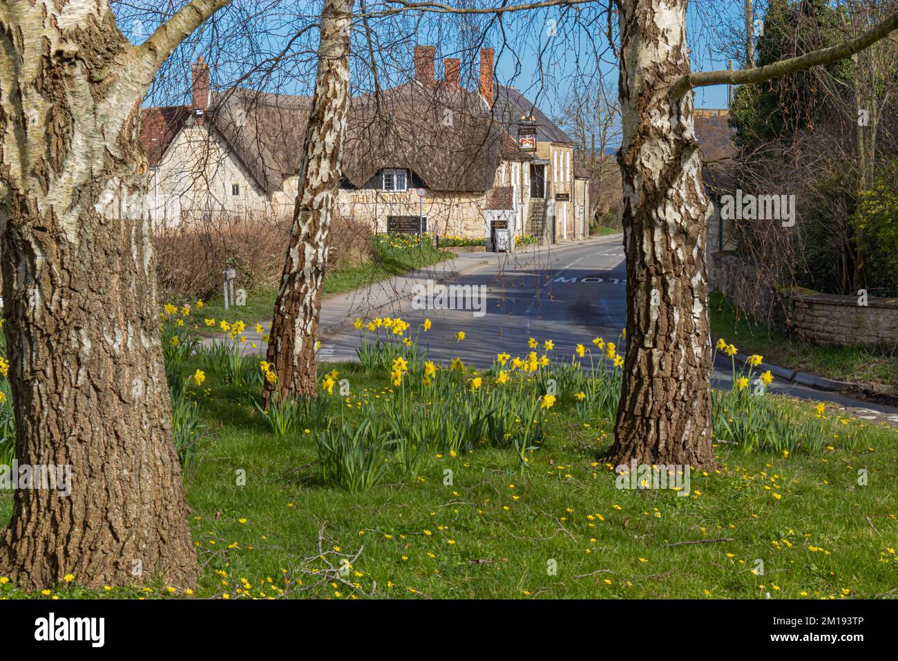 The Crown Inn Pub in Marnhull, Dorset made famous in Tess of the D ...