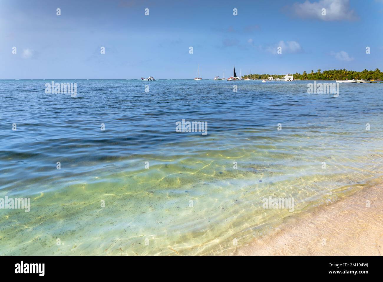 Palm tree and Tropical idyllic beach in Punta Cana, turquoise caribbean ...
