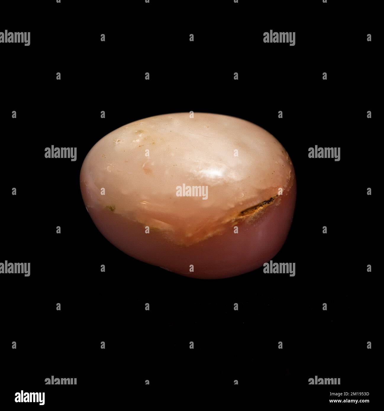 Macro close up colour photograph of a polished 'Rose Opal' a semi ...