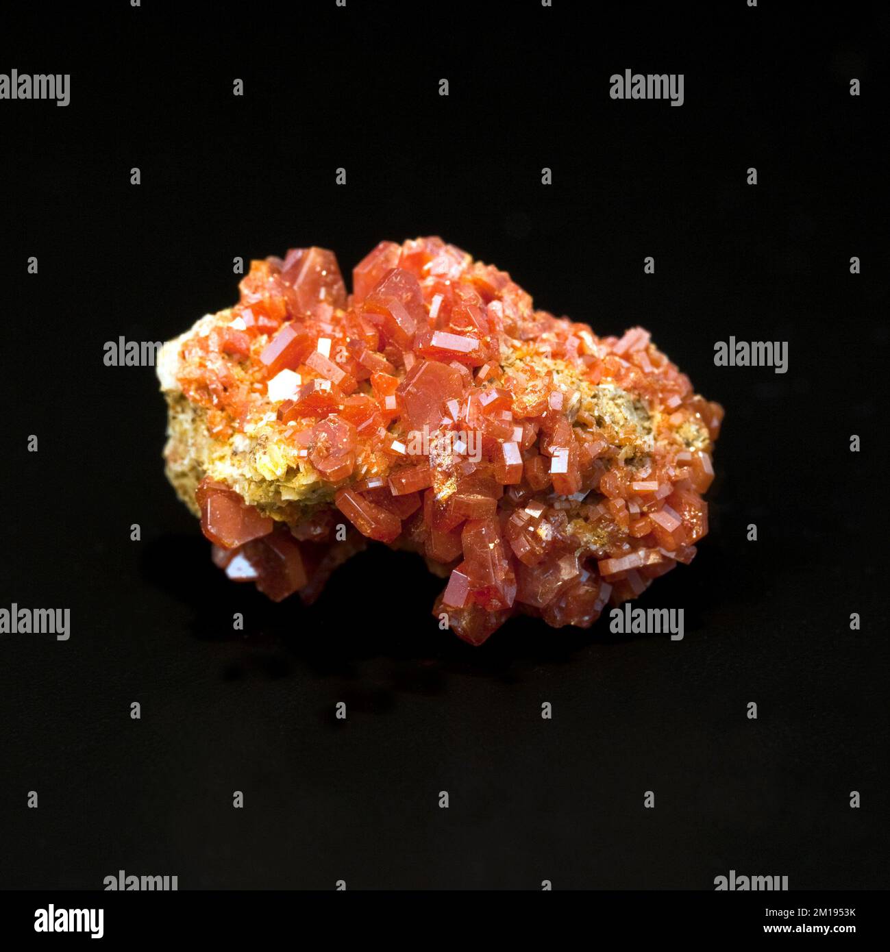 Macro close up colour photograph of 'Vanadinite on Barite' a semi ...