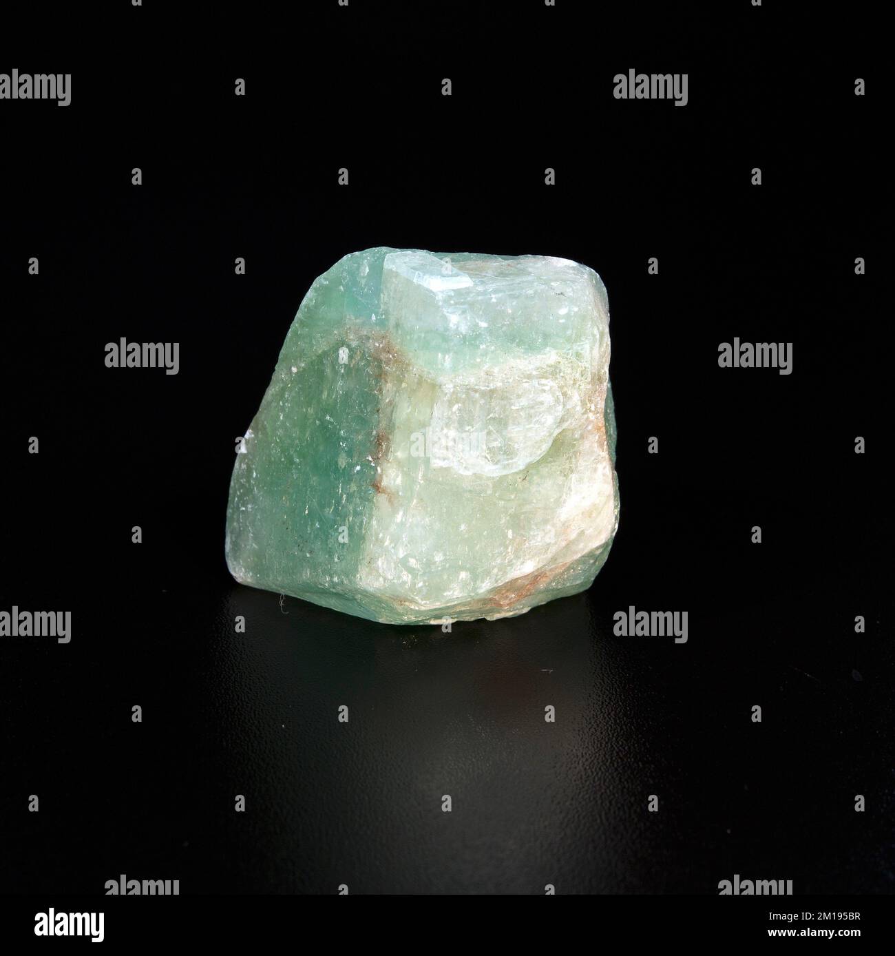 Macro close up colour photograph on black background of a natural ...