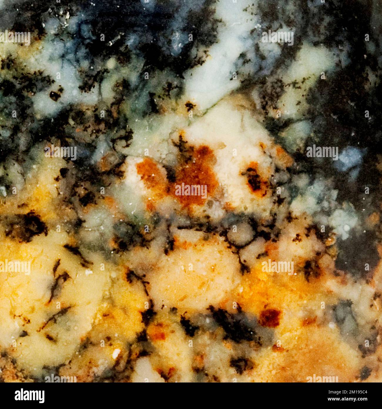 Macro close up colour photograph of ' Merlinite' a semi precious ...