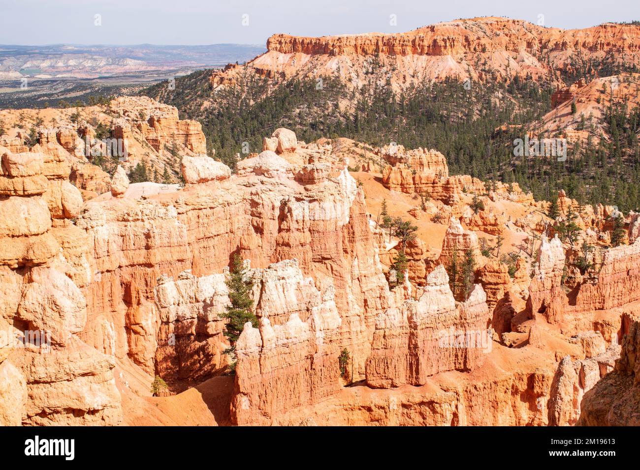 Canyon pillars hi-res stock photography and images - Alamy