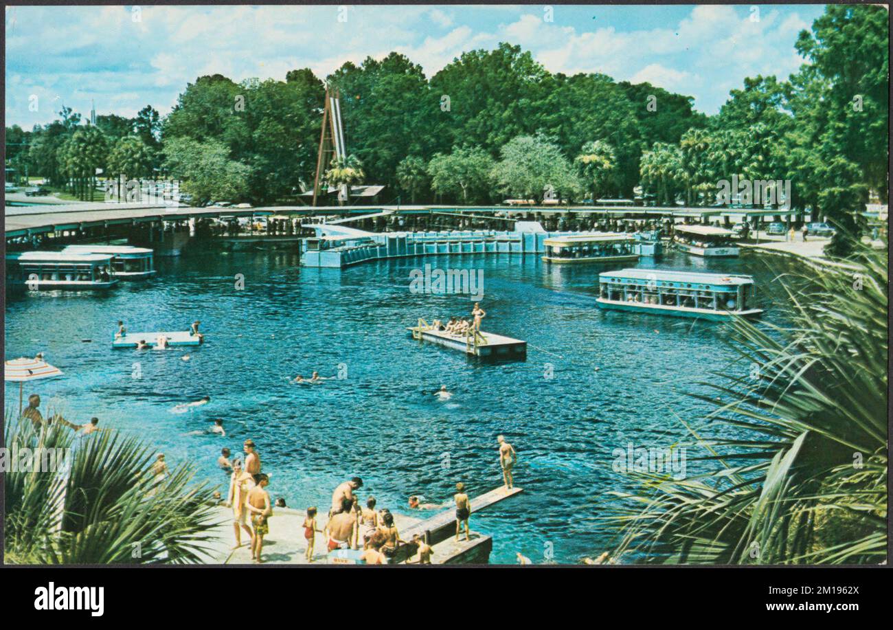 This is the main spring at Florida's world-famous Silver Springs ...