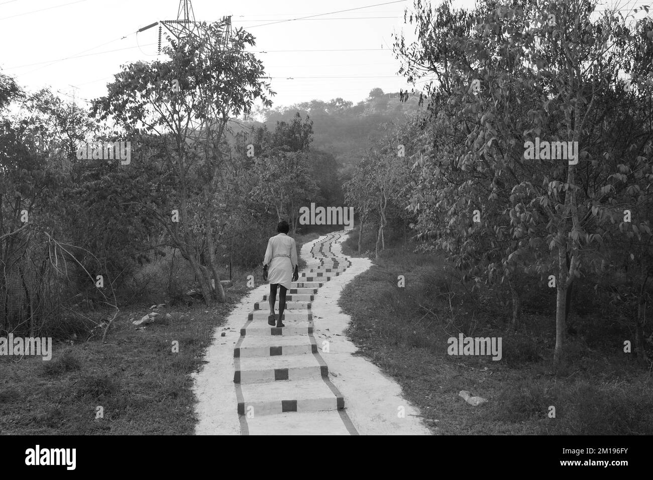 Climbing garden plant Black and White Stock Photos & Images - Alamy